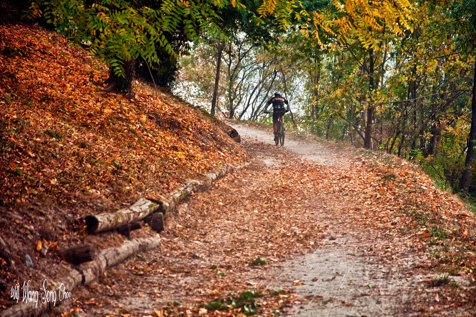 Torino In My eyes: In Autumn - Trail