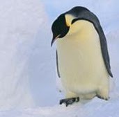 C Bakunas Art: The First Rule Of Fight Club Is To Talk Incessantly ...