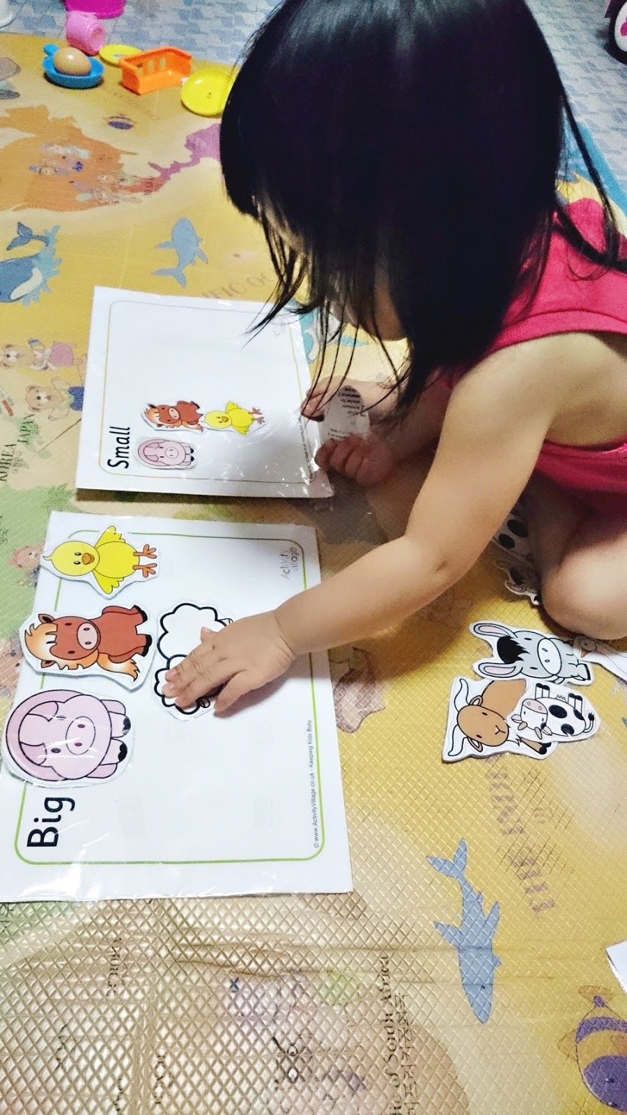 Sorting Activities for Toddlers with FREE Printables