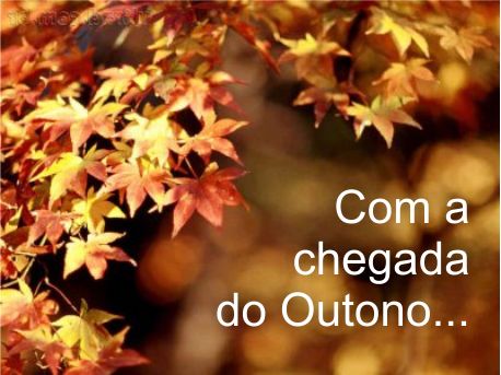 Lota - Portal da Saúde: Com a chegada do outono...