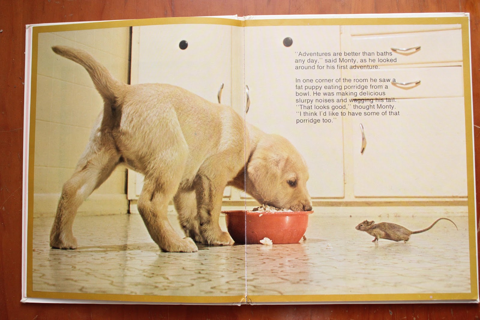 Shorties: Monty Mouse