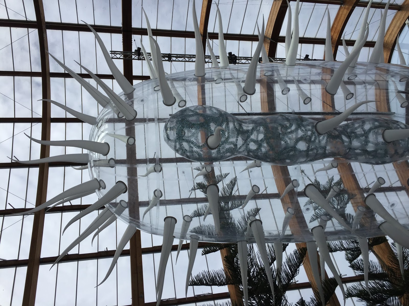 Transition Quaker: Evolutionary Quakers