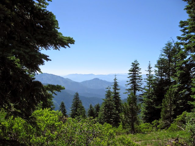 Hiking Sasquatch Country: 35 Tanner Mountain Summit Trail