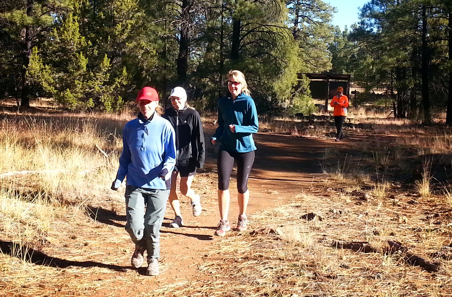 Flagstaff Trail Running: Arizona Trail: Tarantulas and Walnut Canyon ...