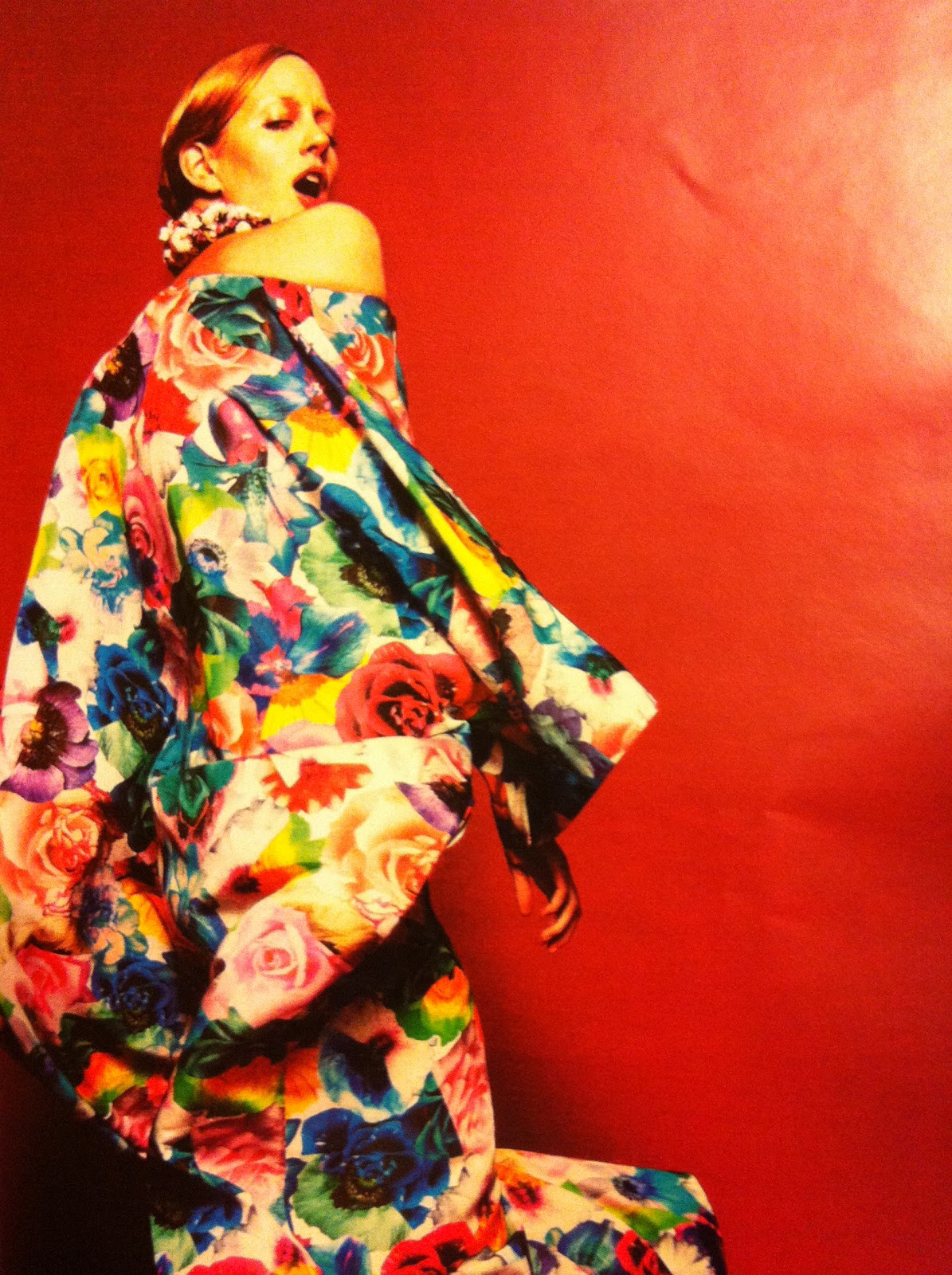 ROSES EVERYWHERE: TIM WALKER FLOWERS