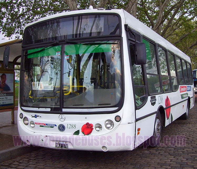 Colectibus - Zona de Buses: LINEA 195