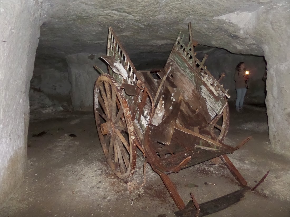 French wildlife and beekeeping: Bats and mushroom growing underground ...