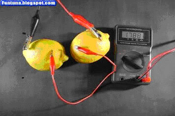 listrik alami: Sumber Listrik Dari Buah LEMON