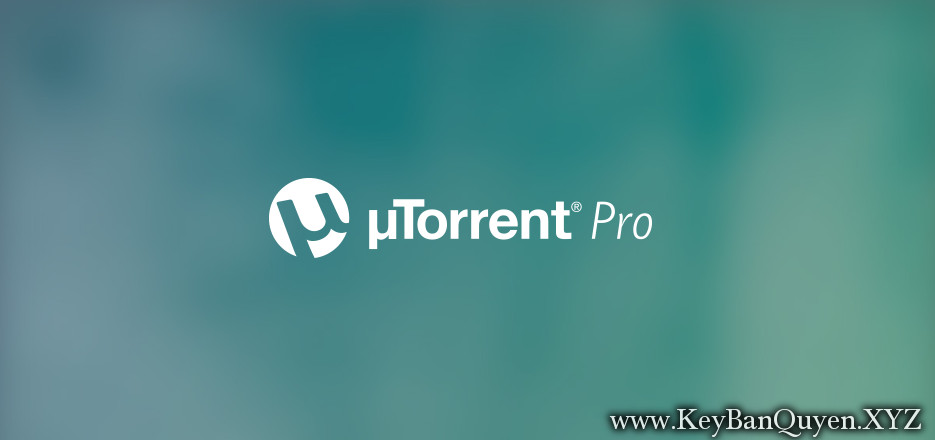 uTorrent Pro 3.5.4 build 44846 Stable Full Key , Phần mềm tải File ...