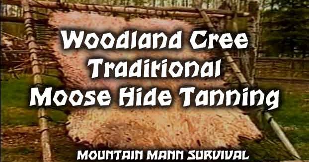Mountain Mann Survival: Woodland Cree Traditional Moose Hide Tanning