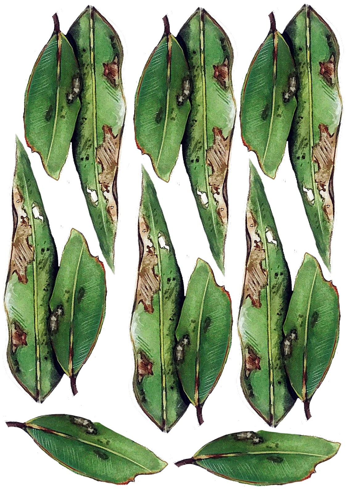 MIXED MEDIA SCRATCH ART - Frogs