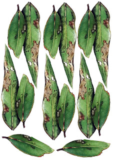 MIXED MEDIA SCRATCH ART - Frogs