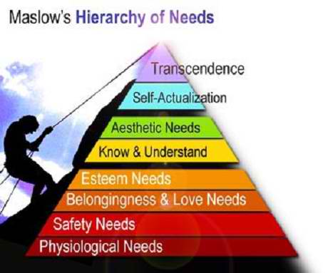 🎉 Biological and physiological needs. Maslow's Physiological Needs ...