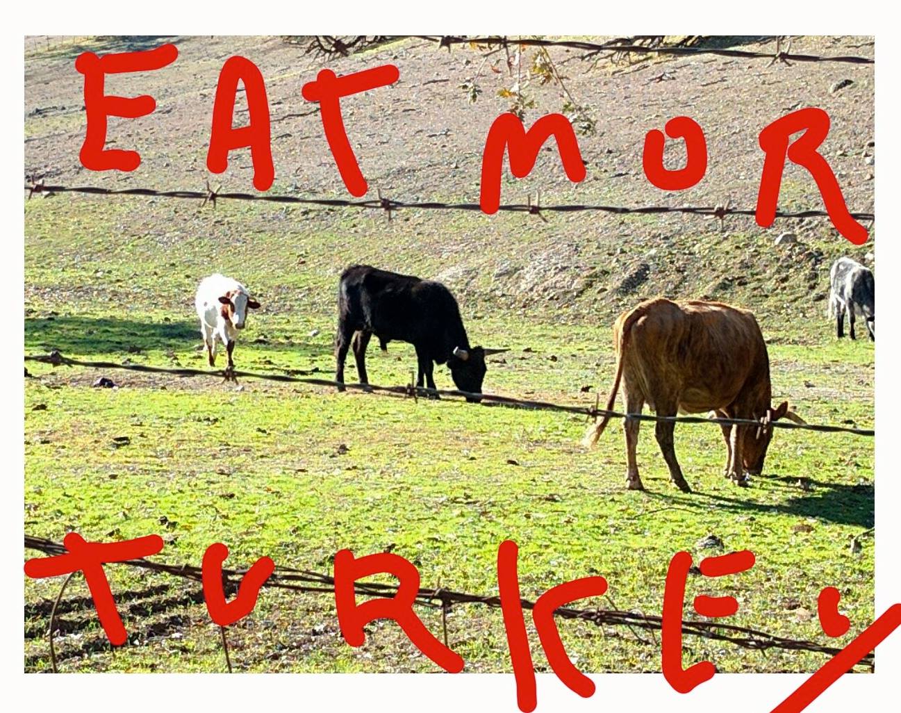 Big Rick Stuart from Napa Valley To The World: I Cooked A Frozen Turkey ...