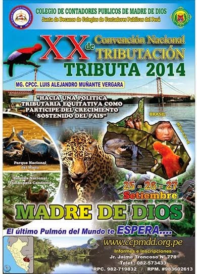 ARMONIZACION CONTABLE: XX Convención Nacional de Tributación TRIBUTA ...