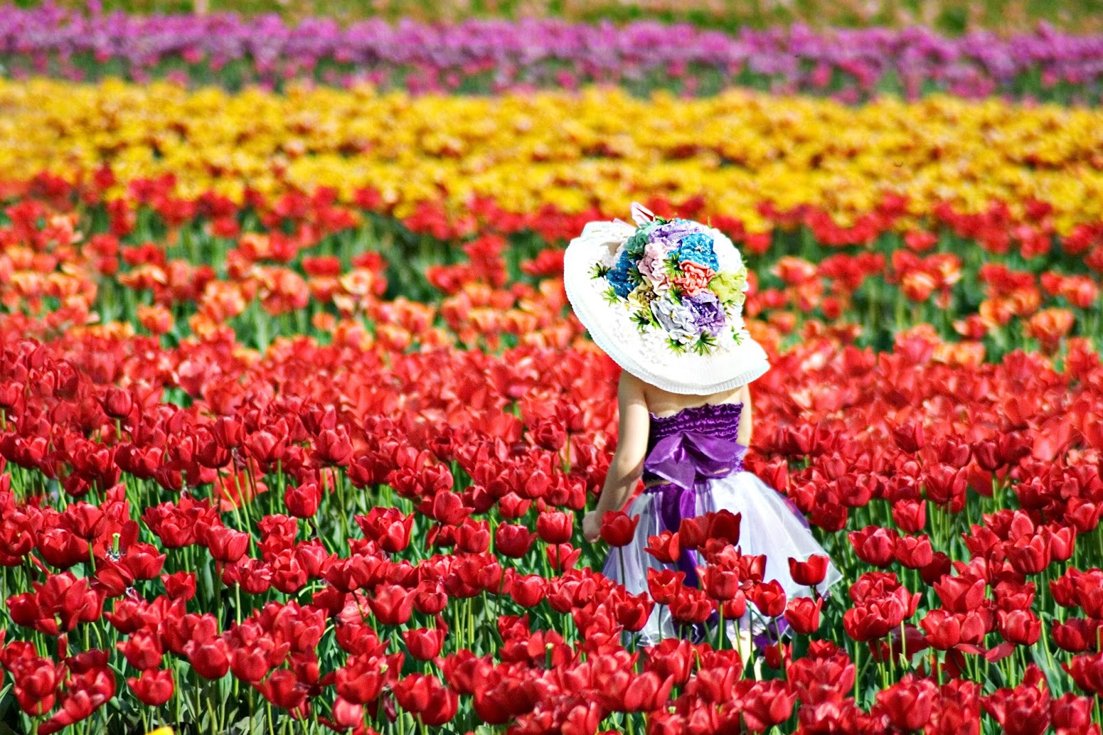 Aksesoris 63+ Contoh Gambar Pemandangan Taman Bunga