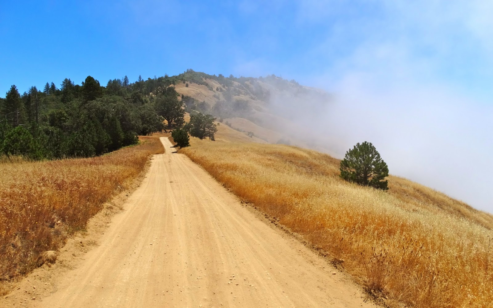 Our Four Wheel Camper: Prewitt Ridge, Big Sur - "Another butterscotch ...
