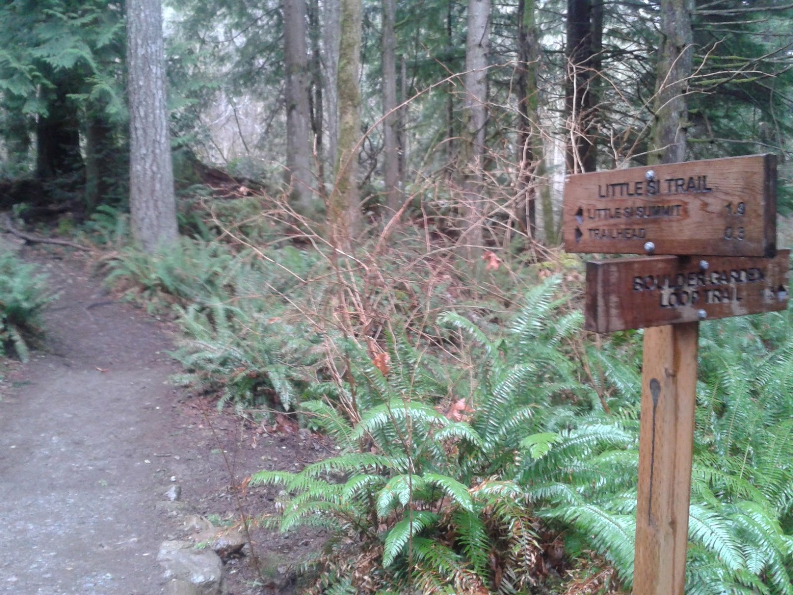 Urban Trailseeker: Hiking Trip Report: Little Si, Boulder Garden Loop