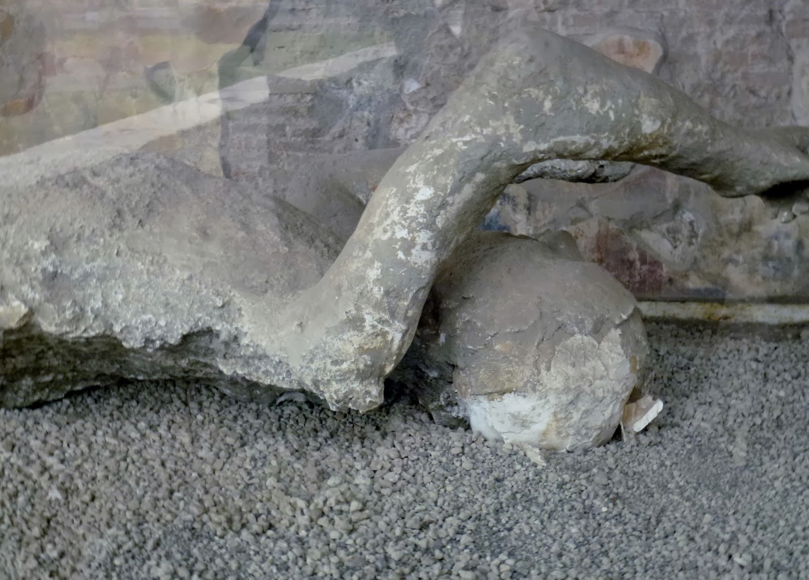 Within the Walled Garden: HUMAN REMAINS at HERCULANEUM