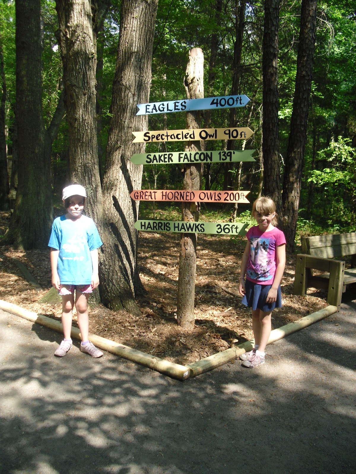 Travel NC With Kids: Carolina Raptor Center – See Eagles, Owls, Hawks ...