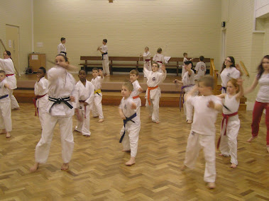 Karate club Essex with Sensei Steve Perry with B.M.A.K.G