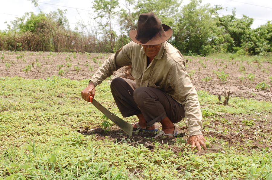 UN CAMPESINO CANSADO DE LA RUTINA ~ MI GRAN MUNDO CON DIOS
