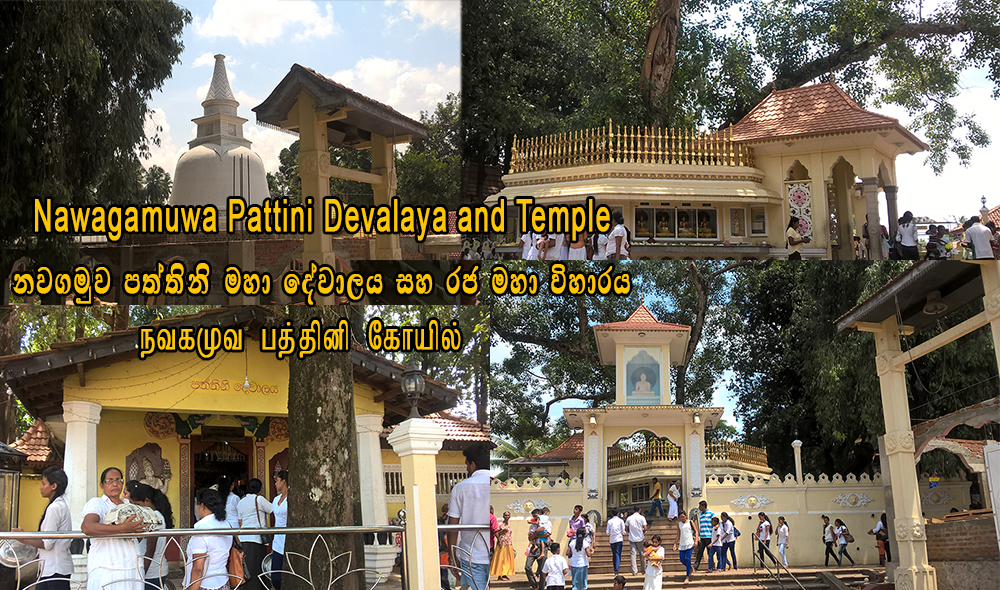 Paduwas. Blogspot.com: Nawagamuwa Pattini Devalaya and Temple - නවගමුව ...