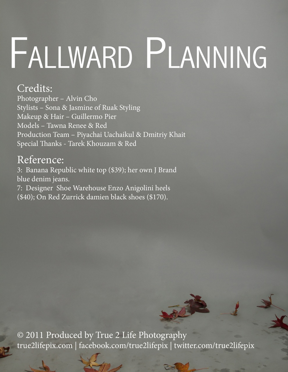 Unconfined Aspirations: Fallward Planning.