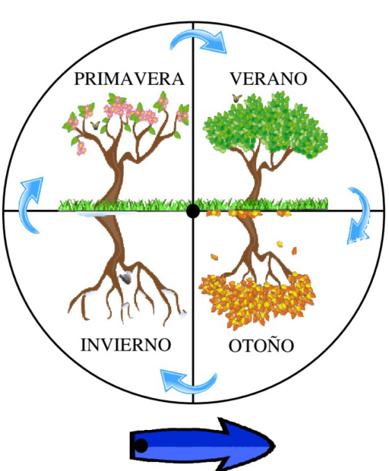 La rueda de las estaciones | Aprendemos con mamá