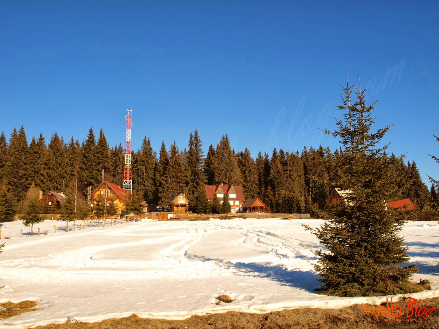 Apollo Blog: Schi @ Pasul Bucin