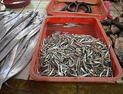 kilawen a taburkit, raw anchovy ceviche ~ PINAKBET REPUBLIC