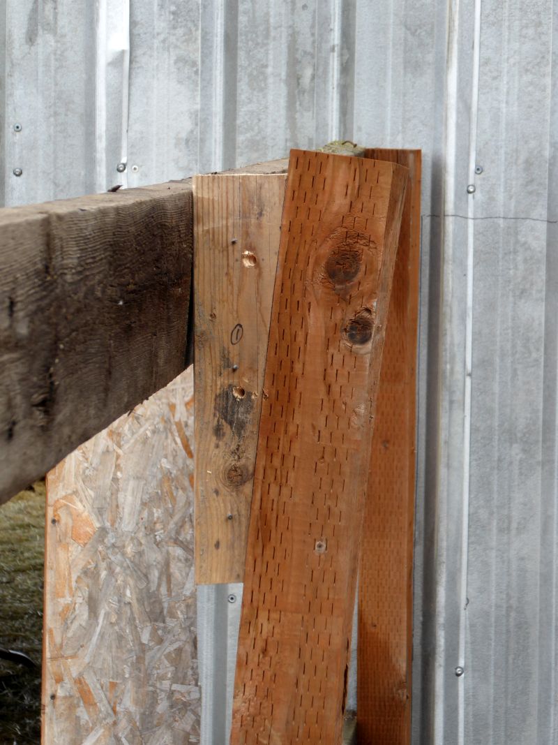 Rural Revolution: Building a bull shed annex