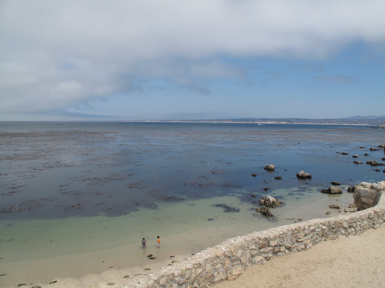 Pedal-Petal: Pedaling and Paddling in Monterey