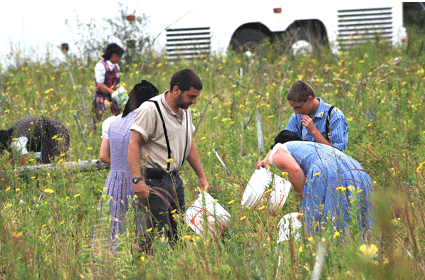 Die Hutterer in den USA und Kanada