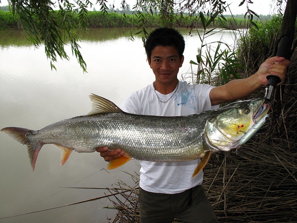 ANGLING WORLD 魔魚釣界: Monster Fish in China - Yellow Cheek!!