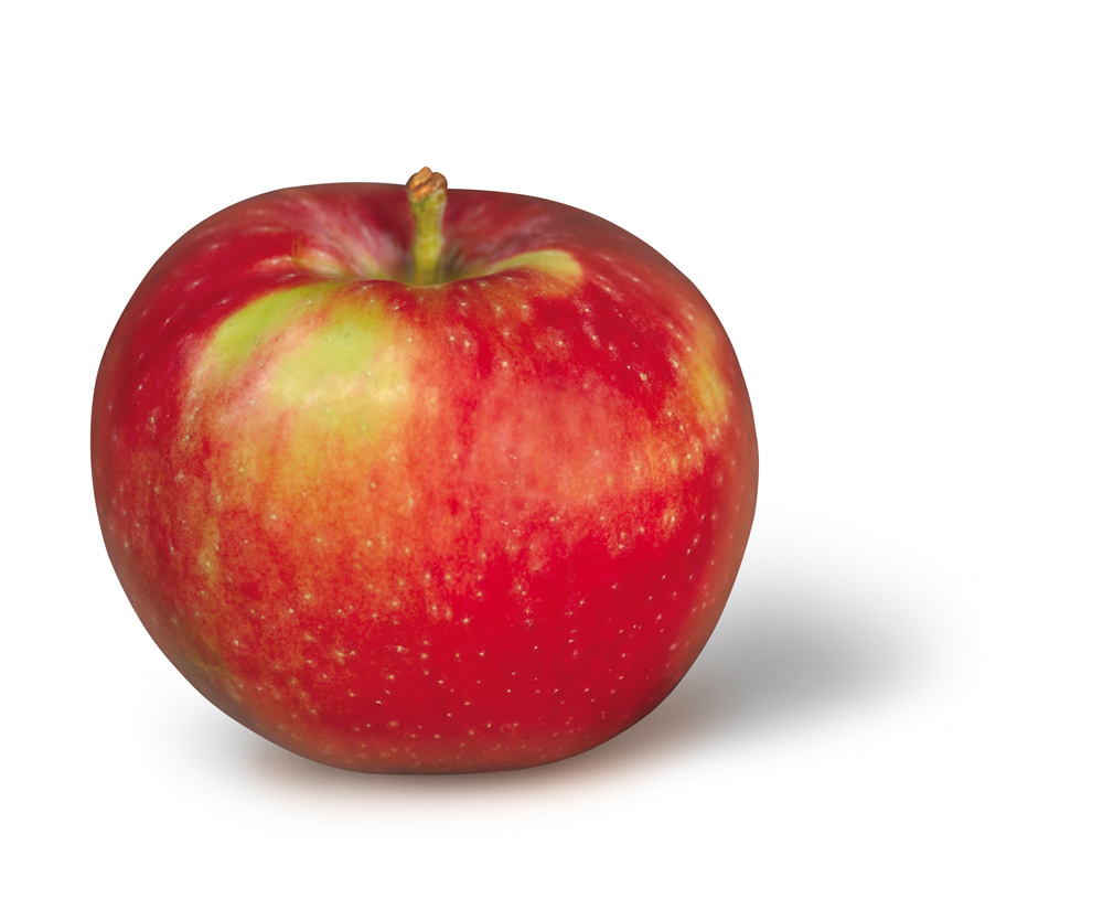 mansanas - philippin news collections