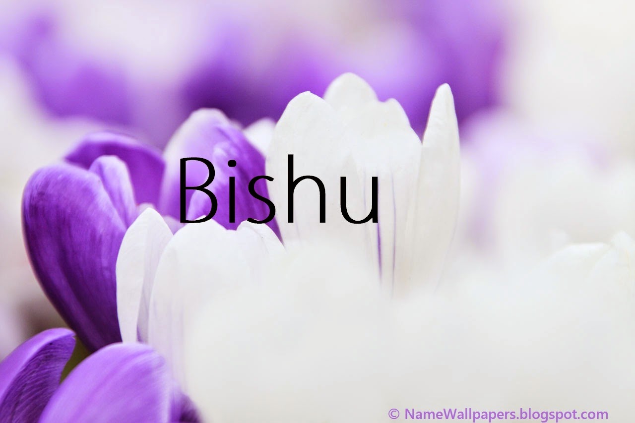 Bishu Name Wallpapers Bishu ~ Name Wallpaper Urdu Name Meaning Name ...