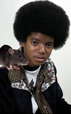 DeadbyDawn: RAT TURD- THE TALE OF GENITAL BEN