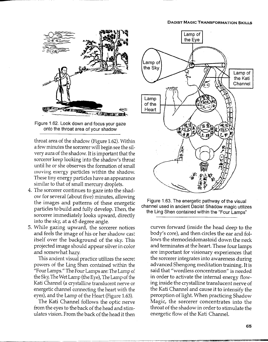 treading the crooked path