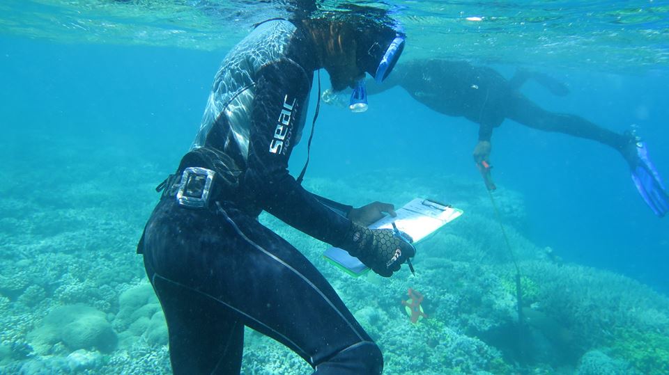 Torres Strait Rangers leading Coral Reef Surveys - One Papua New Guinea
