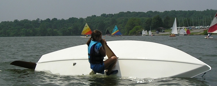 The Fledgling Sailor