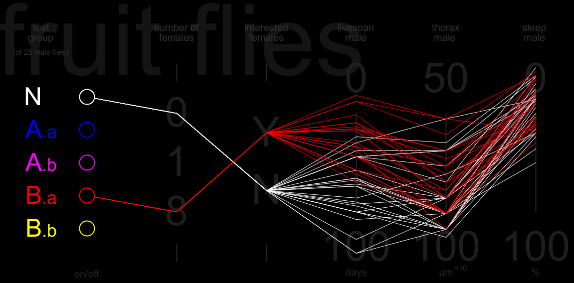 Procedural Design - Steven Molter