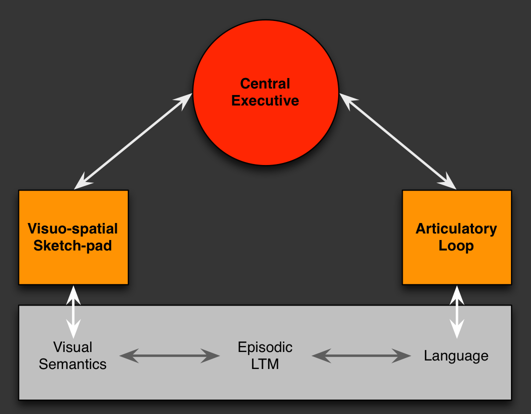 Dr. Bob's Cog Blog: They Call Me the Working Man: Working Memory (Part 1)