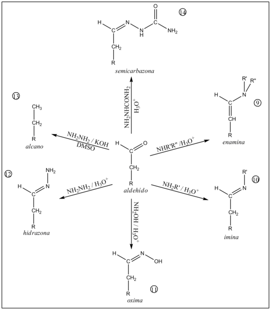 ALDEHIDOS ( Concepto, nomenclatura y reacciones)