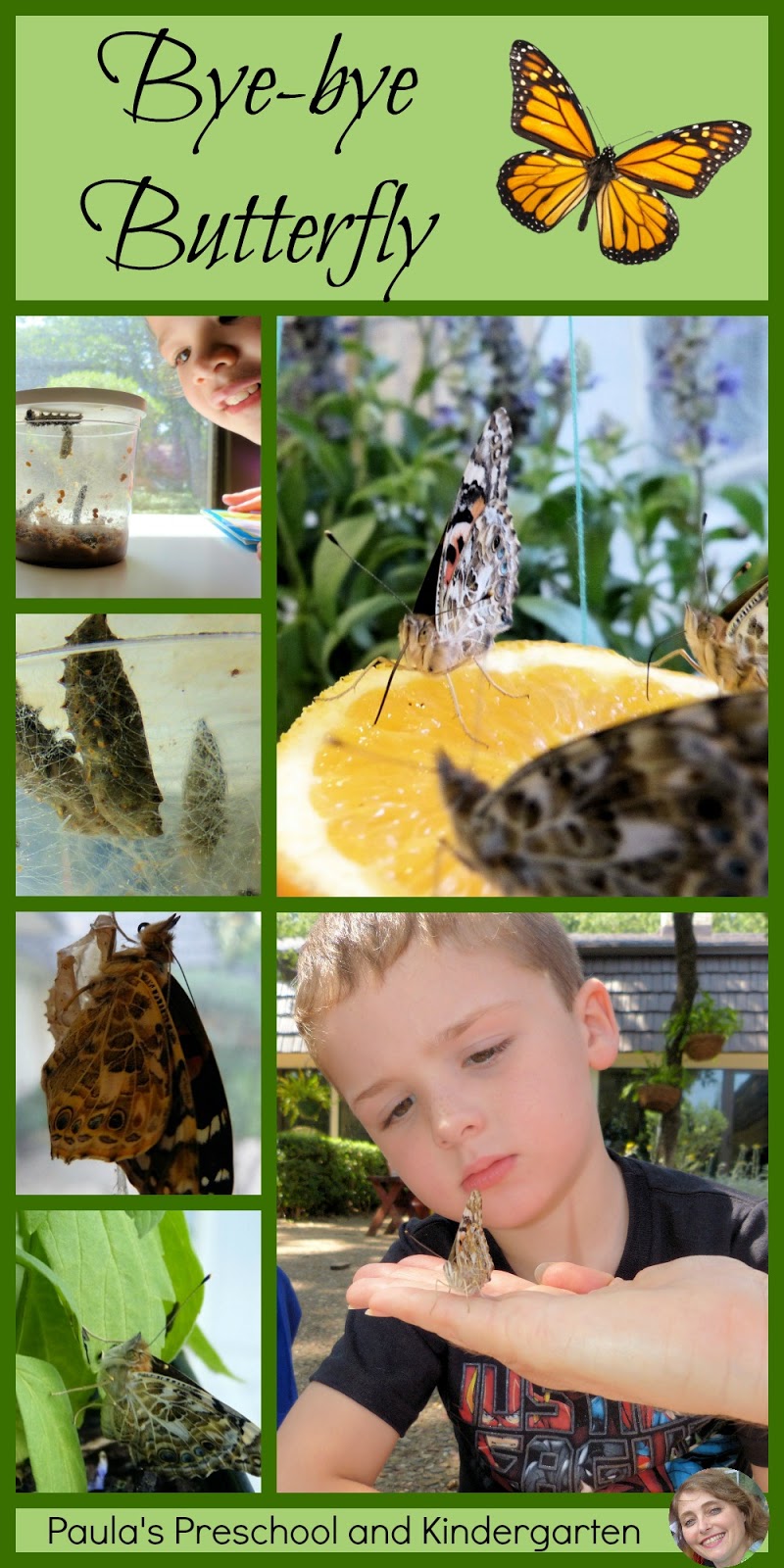 Paula's Primary Classroom: Bye-bye, butterfly!