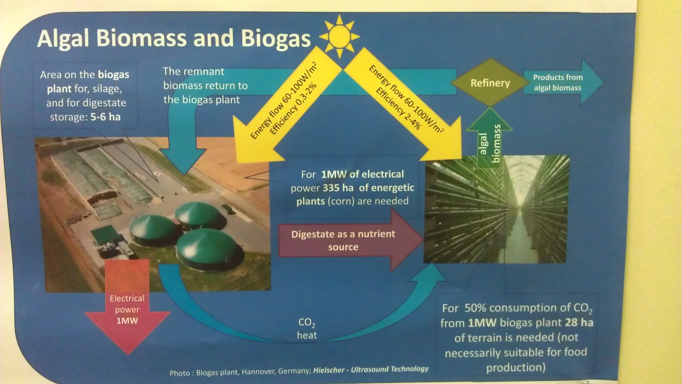 Bio-energy: Bio-energy project at Algae (SL)