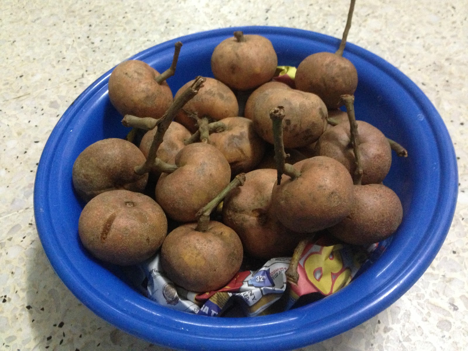 Tentang Laura Azura Zainal: Updates