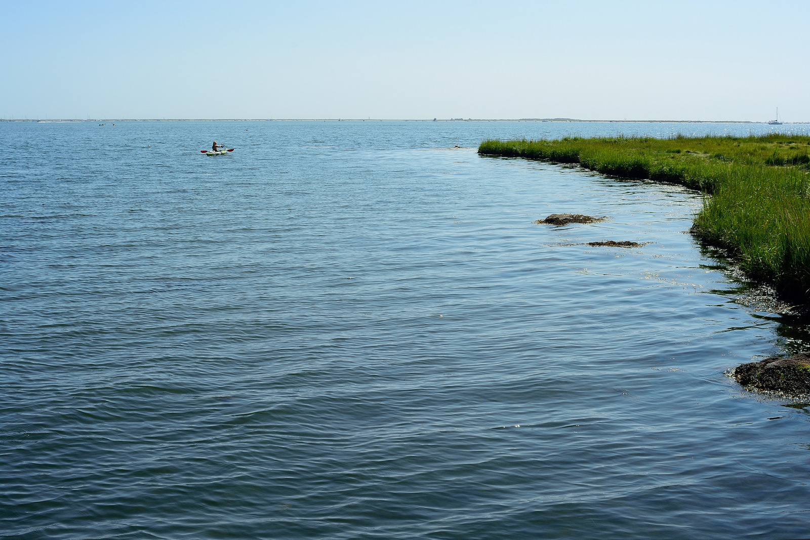 Barn Island Wildlife Management Area