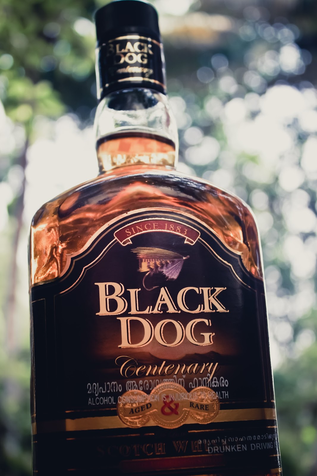 What Is Black Dog Drink