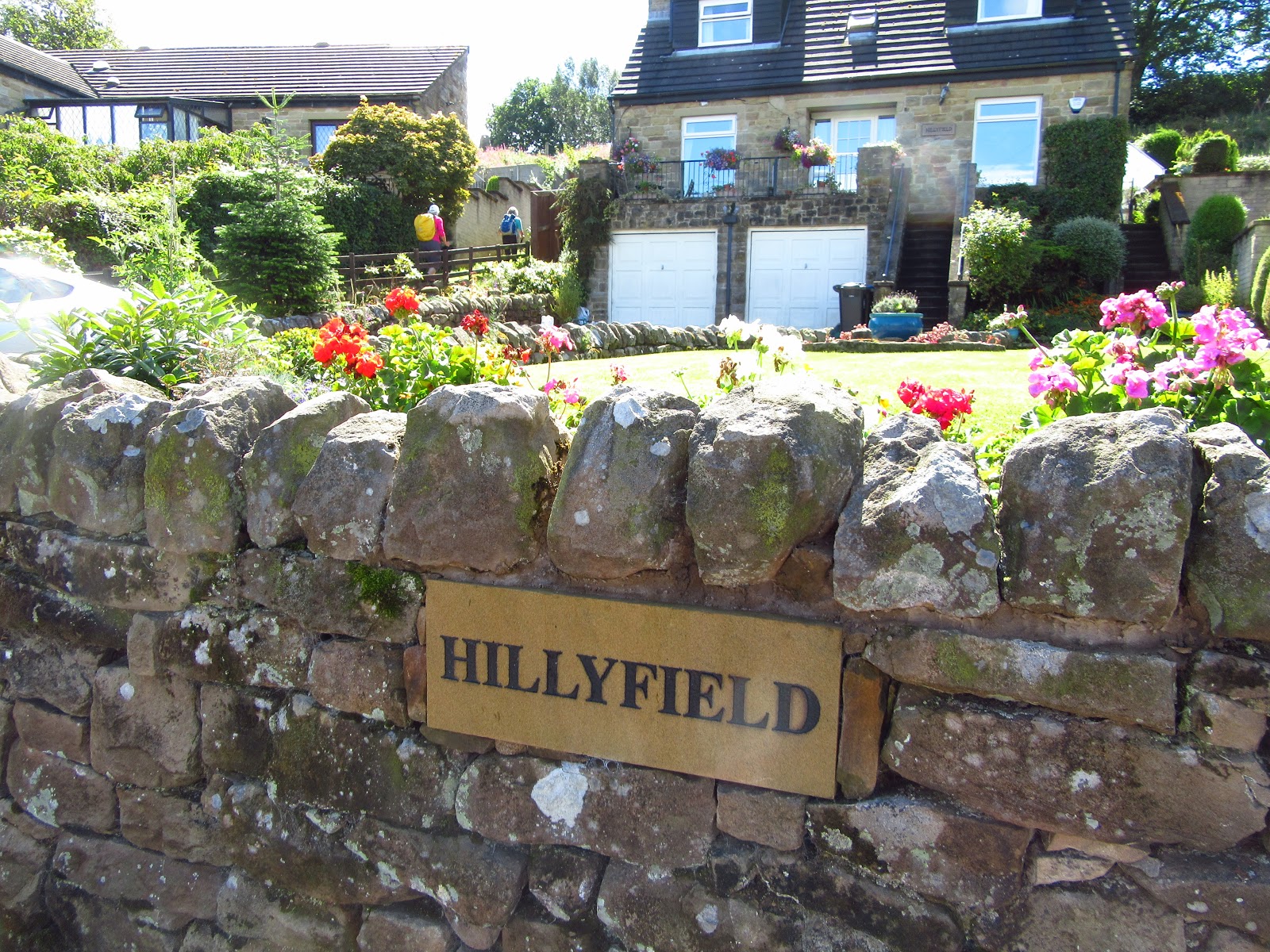 Bunny Mummy: Hilly Fields